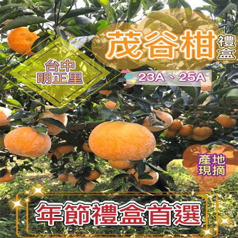 茂谷柑的價格推薦 2021年2月 比價比個夠biggo