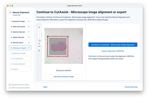 Visium Hd Manual Alignment 10x Genomics