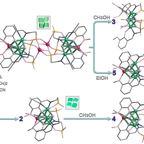 For The Four Coordination Modes Of The Ligand See Supplementary Fig