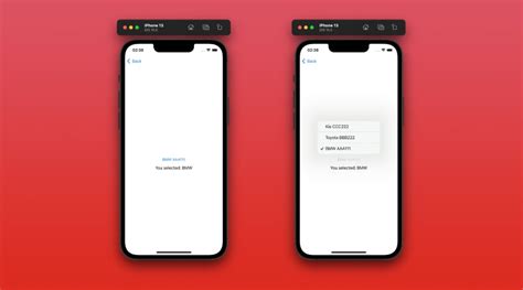 picker using struct in swiftui forceunwrap