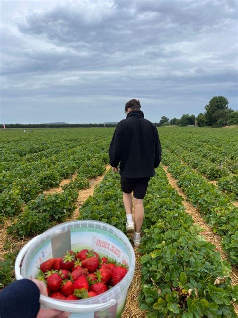 Affordable Strawberry Picking Date