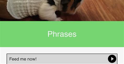 Portrait Non Fullscreen App Iphone X Album On Imgur