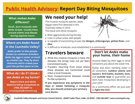 Invasive Mosquito Aedes Aegypti Coachella Valley Mosquito And Vector Control District
