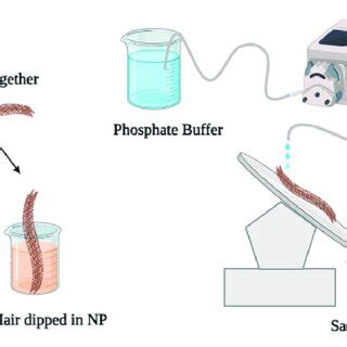 Scheme Schematic Representation Of Adhesion Evaluation Setup For The Download Scientific