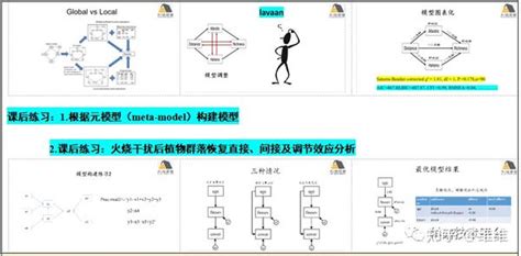 R语言结构方程模型SEM在生态学领域中的实践应用 知乎