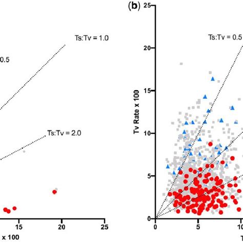 Transition And Transversion Rates For Substitutions From T A And B Download Scientific