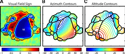 Figure 6 From Topography And Areal Organization Of Mouse Visual Cortex