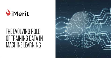From Supervised To Unsupervised The Evolving Role Of Training Data In