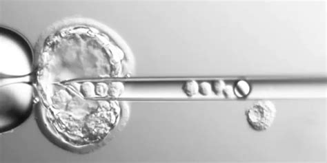Cell Manipulation Gulfmed Medical Supplies