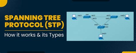 Spanning Tree Protocol Stp A Complete Guide Pynet Labs