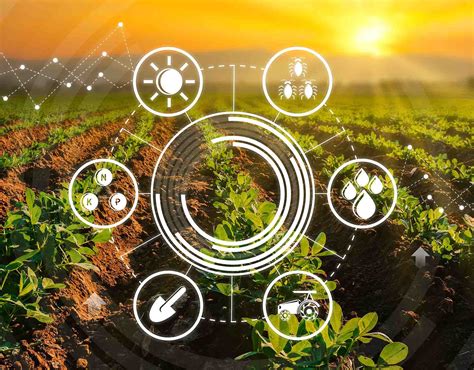 Iot Connectivity Paves The Way For Smart Farming Idemia