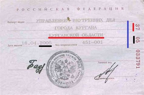 2018 Как Узнать Серию и Номер своего Паспорта Онлайн