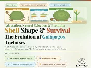 Shell Shape And Survival The Evolution Of Galápagos Tortoises By Landb