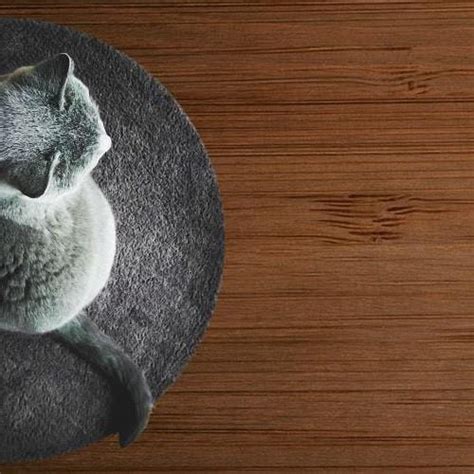 Polysorb® A Pure Isosorbide From Sorbitol A Starch Derivative