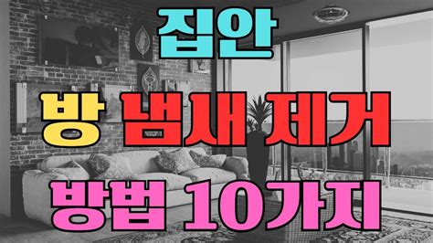 집안 냄새 제거방 냄새 제거 냄새 제거 방법 10가지 Youtube