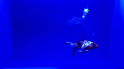 Supriya Rathi On Linkedin Robot Robots 3dprinting