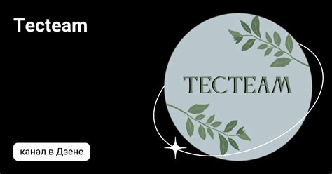 Тесteam | Дзен