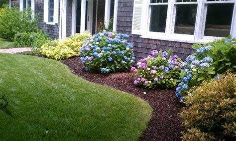Cape Cod Landscape Gallery Horticultural Dna Property Photos