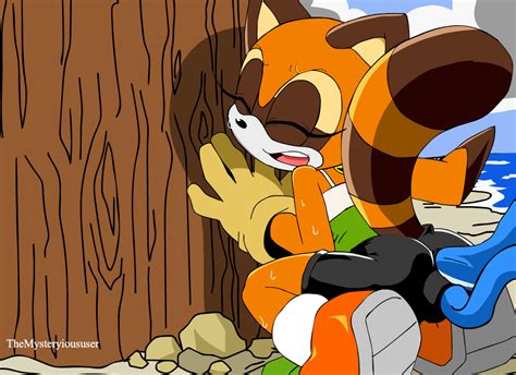 post 2231967 animated coolblue marine the raccoon sonic the hedgehog