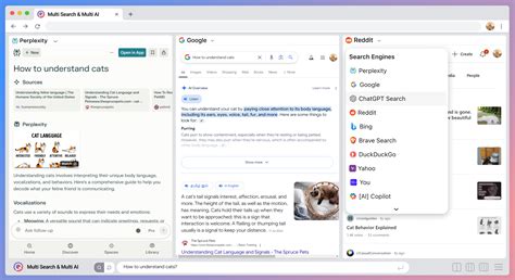 Multi Search And Multi Ai