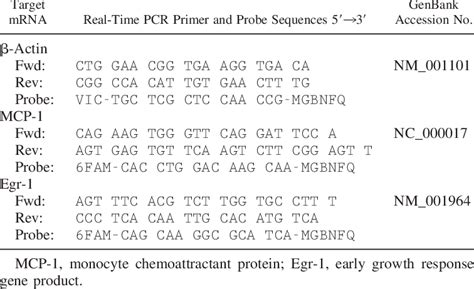 Real Time Pcr Primer And Probe Sequences Download Table