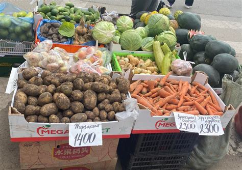 СУРВАЛЖИЛГА Шинэ ургацын төмс хүнсний ногооны үнэ буурч байна