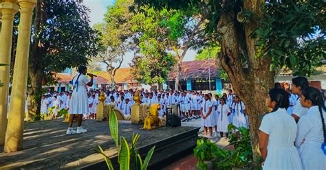 අපේ පාසල කොතරම් ගුණාත්මක ද 2025