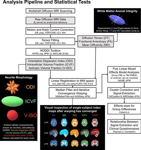 Schematic Depicting The Diffusion Imaging Analysis Pipeline Modeling Download Scientific