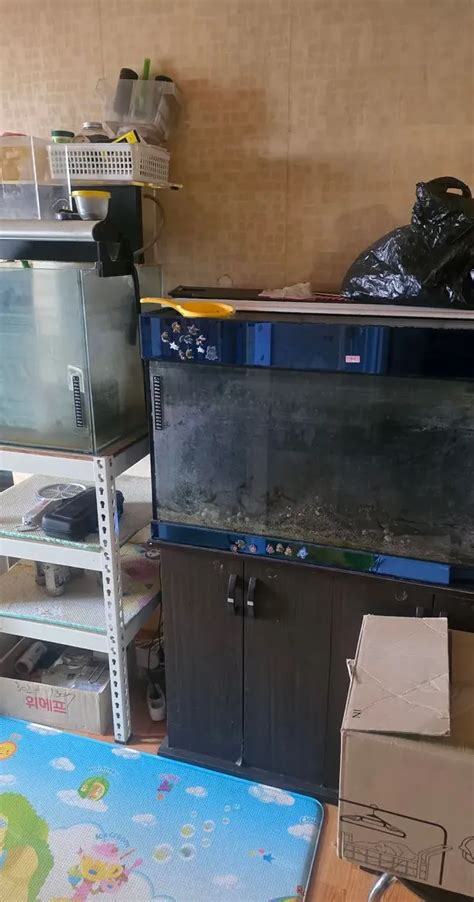 이사갈때 남은 짐들이 많아서 걱정했는데 저렴한가격에 꼼꼼하게 마무리까지해주셔서 너무 맘에들어요 숨고 숨은고수