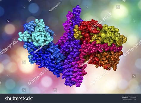 Neurotoxin Type Bacterium Clostridium Botulinum Which Stock Illustration 551160502 Shutterstock