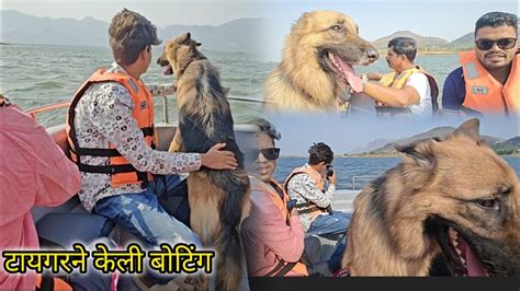 टायगर होडीत बसला बोटिंग केली सबस्क्राईबर भेटले Youtube