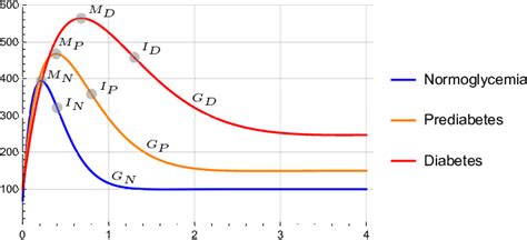 Gtt Model Functions In The Case Of Normoglycemia M N 13 394 I N