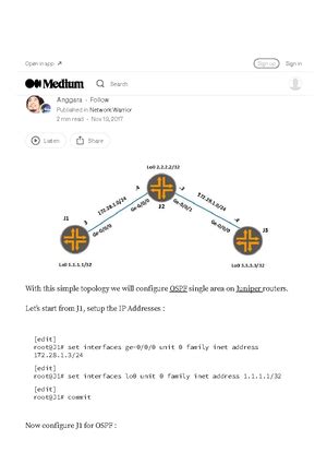 OSPF Stub Area Totally Stub Area NSSA And Totally NSSA OSPF Uses Two Levels Of Hierarchy