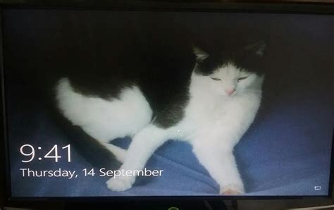 Unable To Log Into Windows 10 PIN Option Does Not Come Up Solved Windows 10 Forums