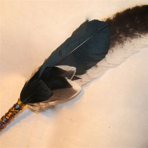 Feather Quill Pen Etsy