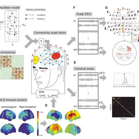 network state diagram of the large scale brain network model during
