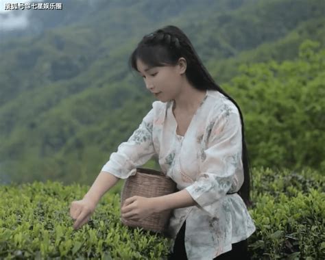 李子柒停更一年疑似被取代九月靠模仿吸粉百万 视频 美食 网友
