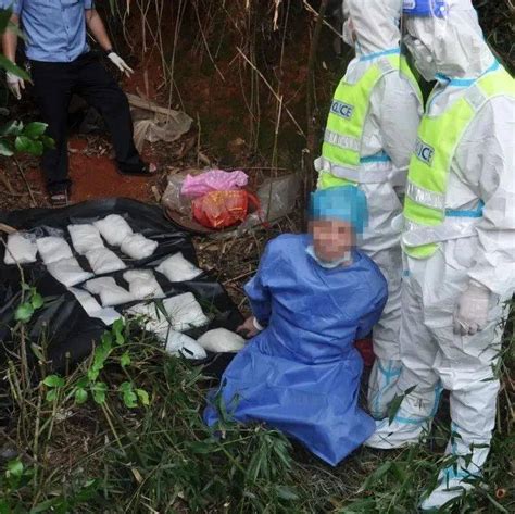 隐蔽的荒草丛里警犬搜出疑似毒品冰毒近17公斤 苍梧县 进行 贩毒