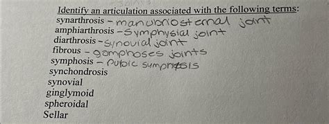 Solved Identify An Articulation Associated With The