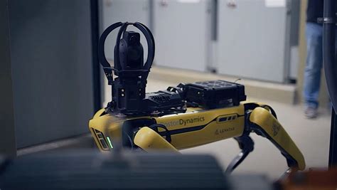 Chatgpt Ai Now Has A Robot Body It Will Talk Its Way To World Domination Autoevolution Chatgpt Ai Now Has A Robot Body It Will Talk Its Way To World Domination Autoevolution