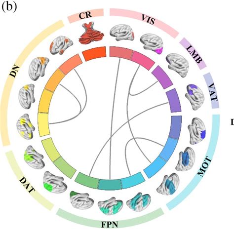 The Group‐level And Two Individual Level Of The 17 Large‐scale Download Scientific Diagram