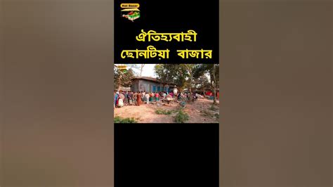 ছোনটিয়ার হাঁস মুরগির বাজার Hatbazar হাঁস মুরগি দেশিমুরগি কবুতর হাট বাজার Shorts Youtube