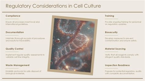 Regulatory Considerations In Cell Culture Dna Denaturation Ppt Example Acp Ppt Example