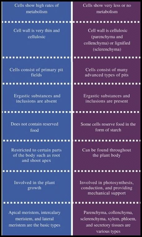 A Differentiate Between Meristematic And Permanent Ti Vrogue Co