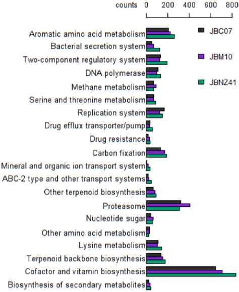 Gene Count Based On The Kegg Hierarchy Functional Assignment Only Download Scientific Diagram