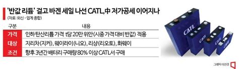 배터리판 치킨게임中 Catl 리튬 반값 배터리 저가공세 시동 아시아경제