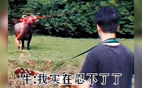 爆笑合集满级人类 粉身碎骨都不怕要留清白在人间 哔哩哔哩