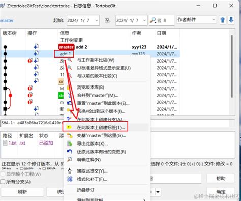 Tortoisegit 基础使用tortoisegit如何使用 Csdn博客