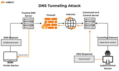 Cybersecurity Dns Dnssecurity Infosec 100daychallenge Day39 Networking Threatdetection