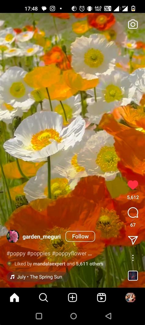 Amit Kumar Jha On Linkedin Good Afternoon